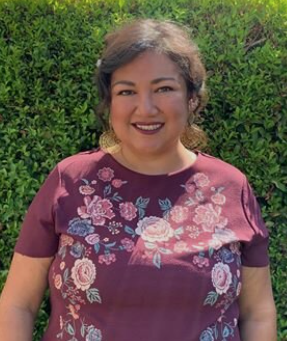 UnDocu-Ally Training for Health Professionals: Building Stronger ...