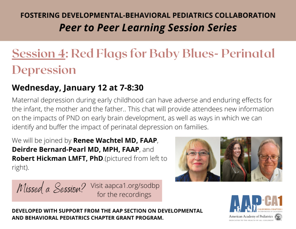 SODPB Session #4 Red Flags for Baby Blues - Perinatal Depression - American Academy of ...